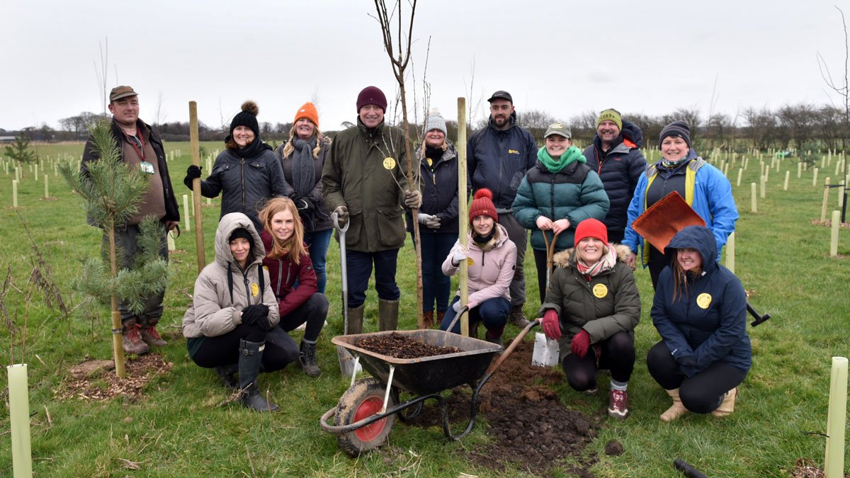 Booths Plants Legacy Wood to Celebrate 175 Years | Booths SuperMarket