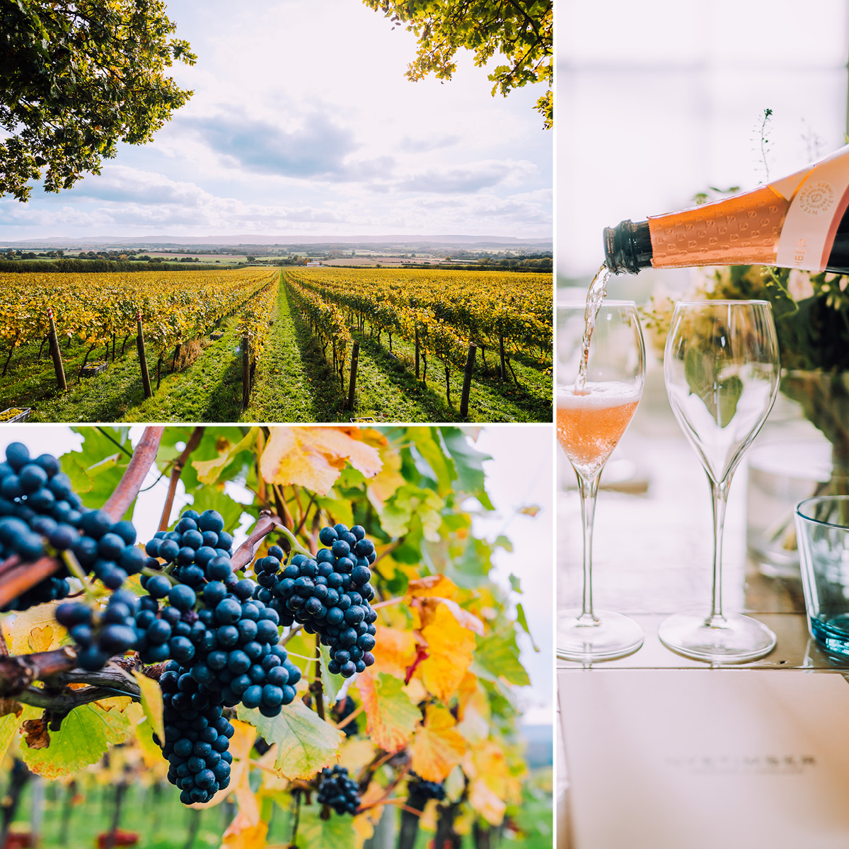 Booths Supermarkets | The UK's Food, Wine and Grocery Store