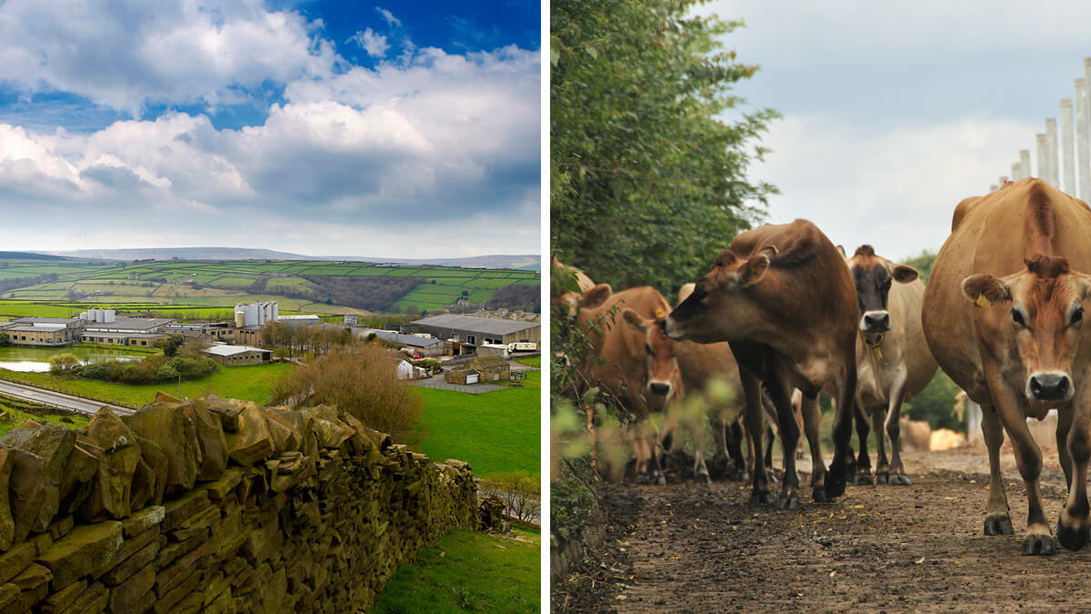 Longley Farm - Booths