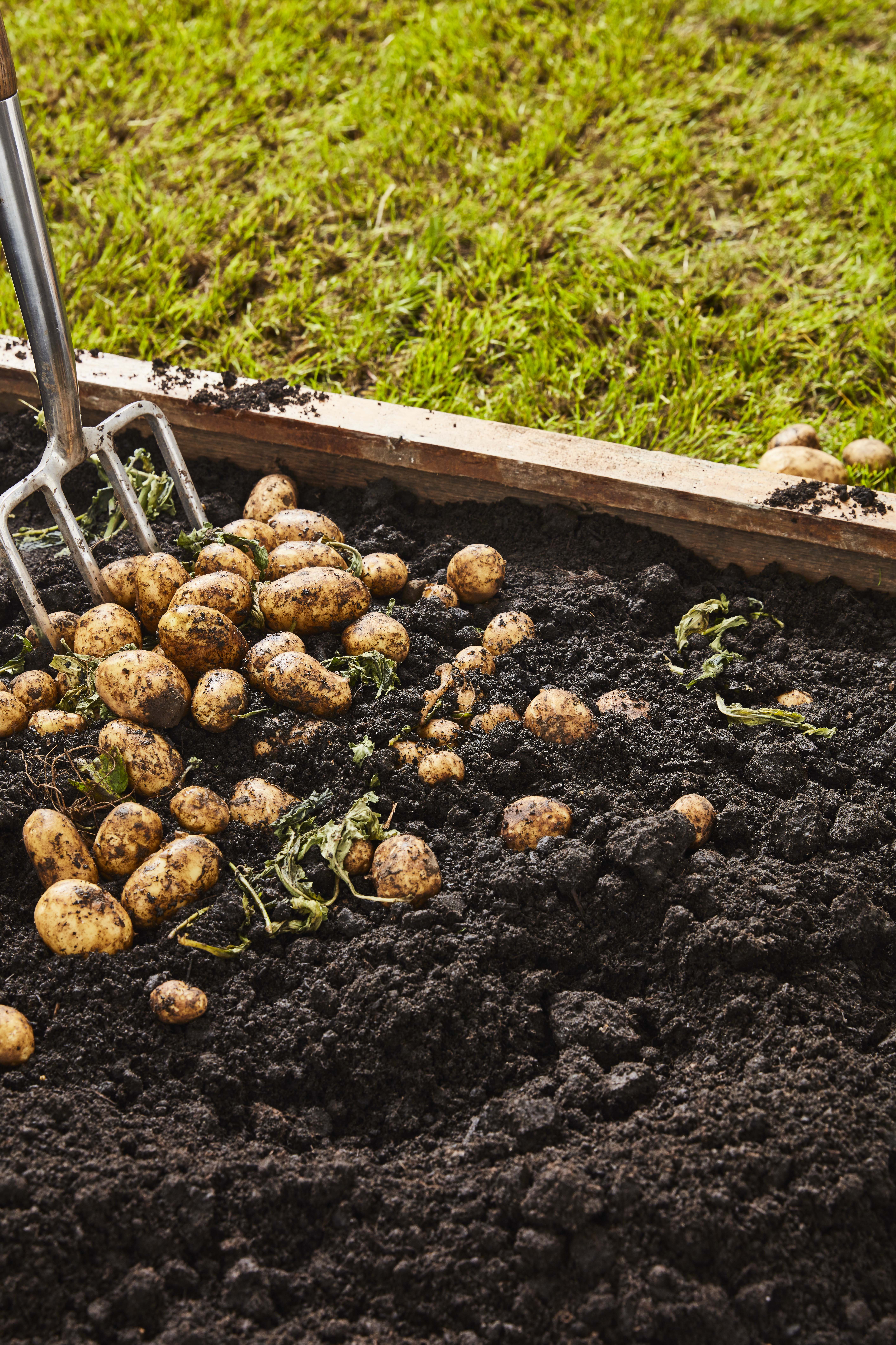 The UK's Food, Wine and Grocery Store | Booths Supermarket