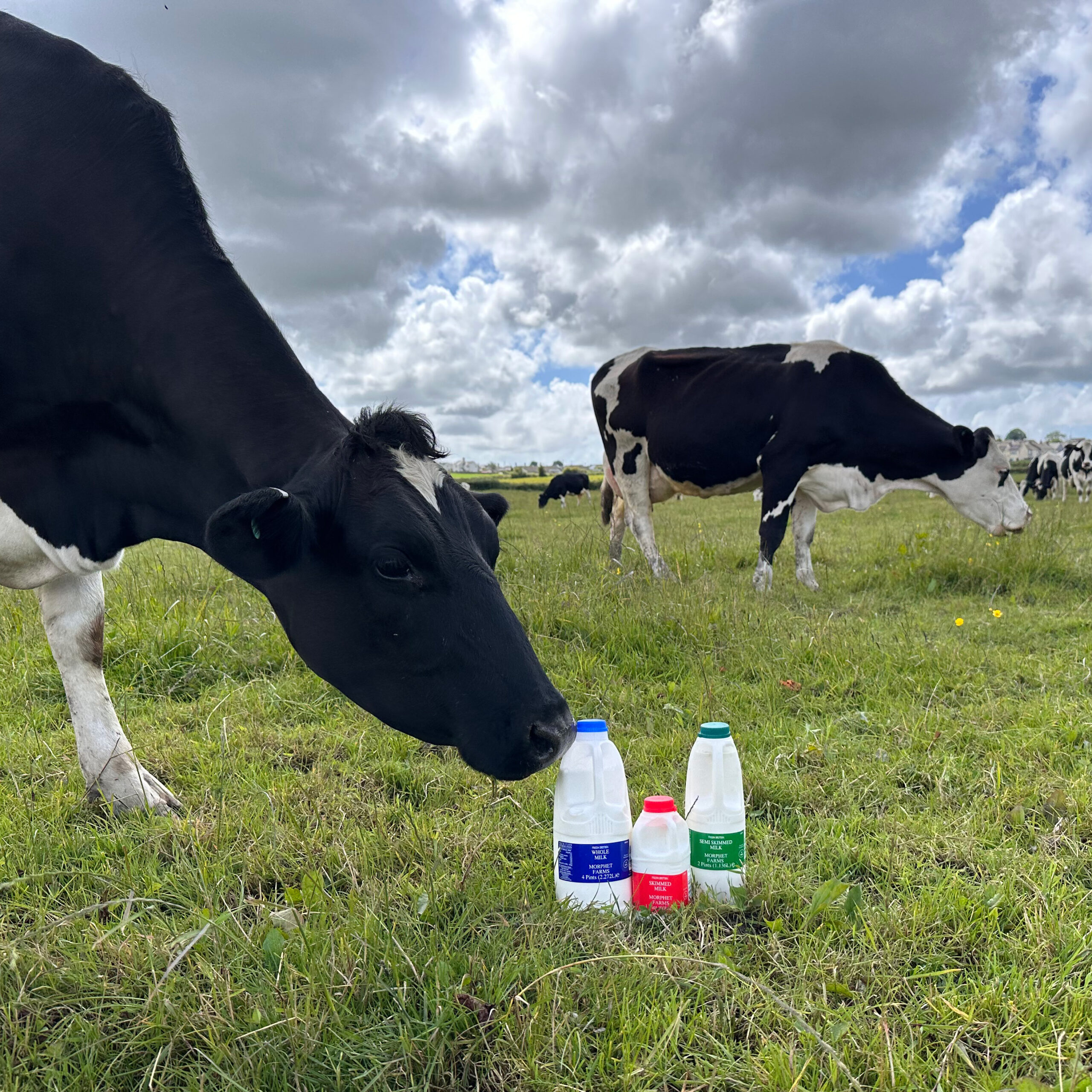 The UK's Food, Wine and Grocery Store | Booths Supermarket