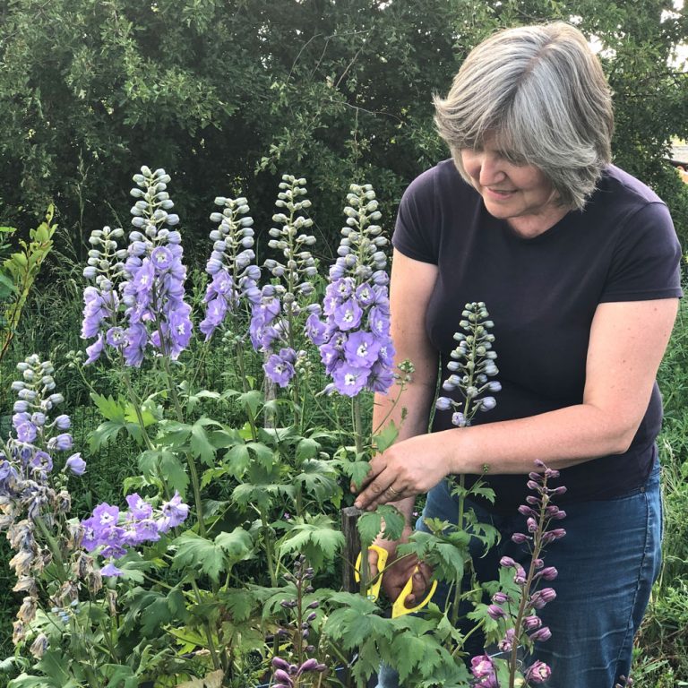 Petal & Twig Are Coming to Longton Booths | Booths Supermarket